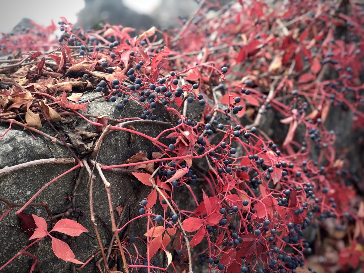 Grief Stories Helping Grief Make Sense One Story At A Time