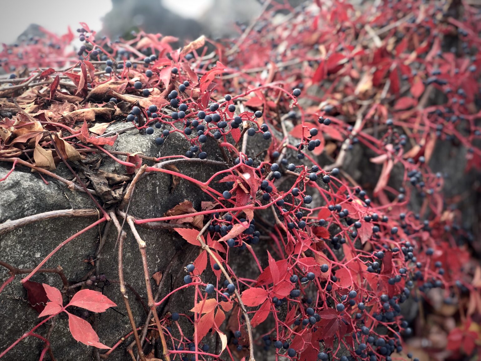 Grief Stories Helping Grief Make Sense One Story At A Time