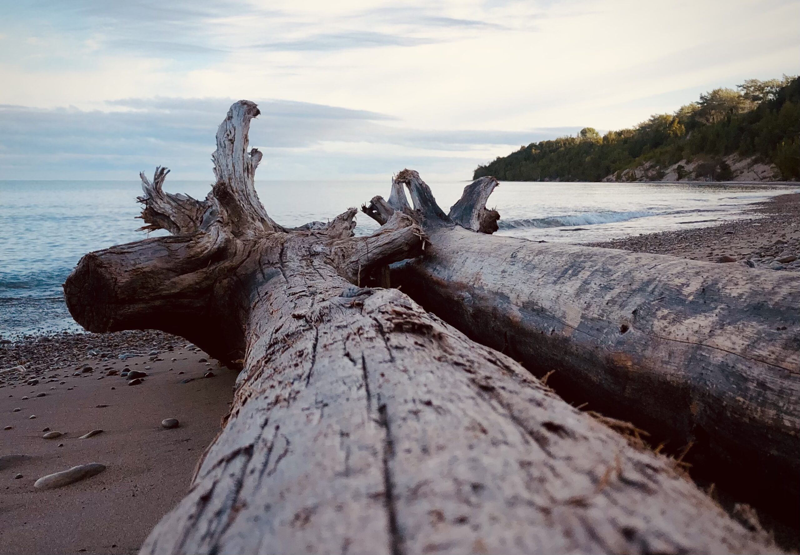 Learning from Grief – Grief Stories