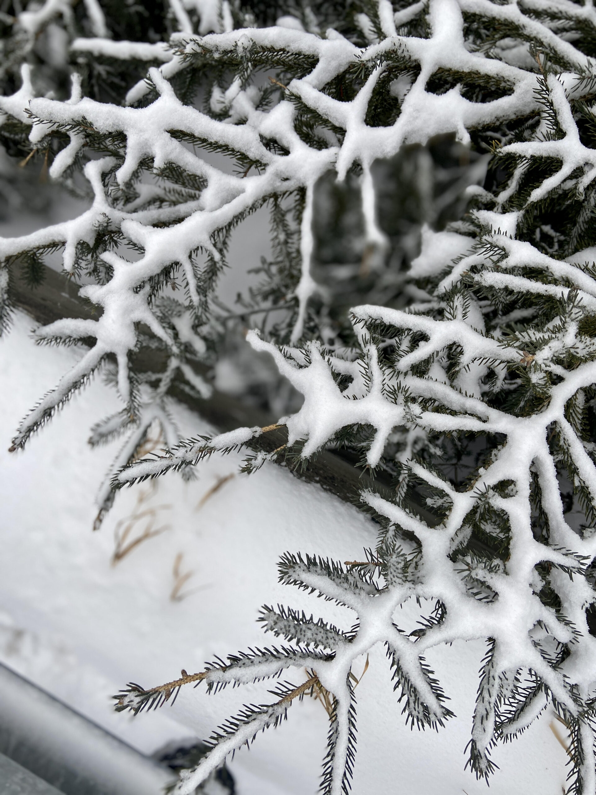 Making Space to Hear Them: supporting children in grief – Grief Stories