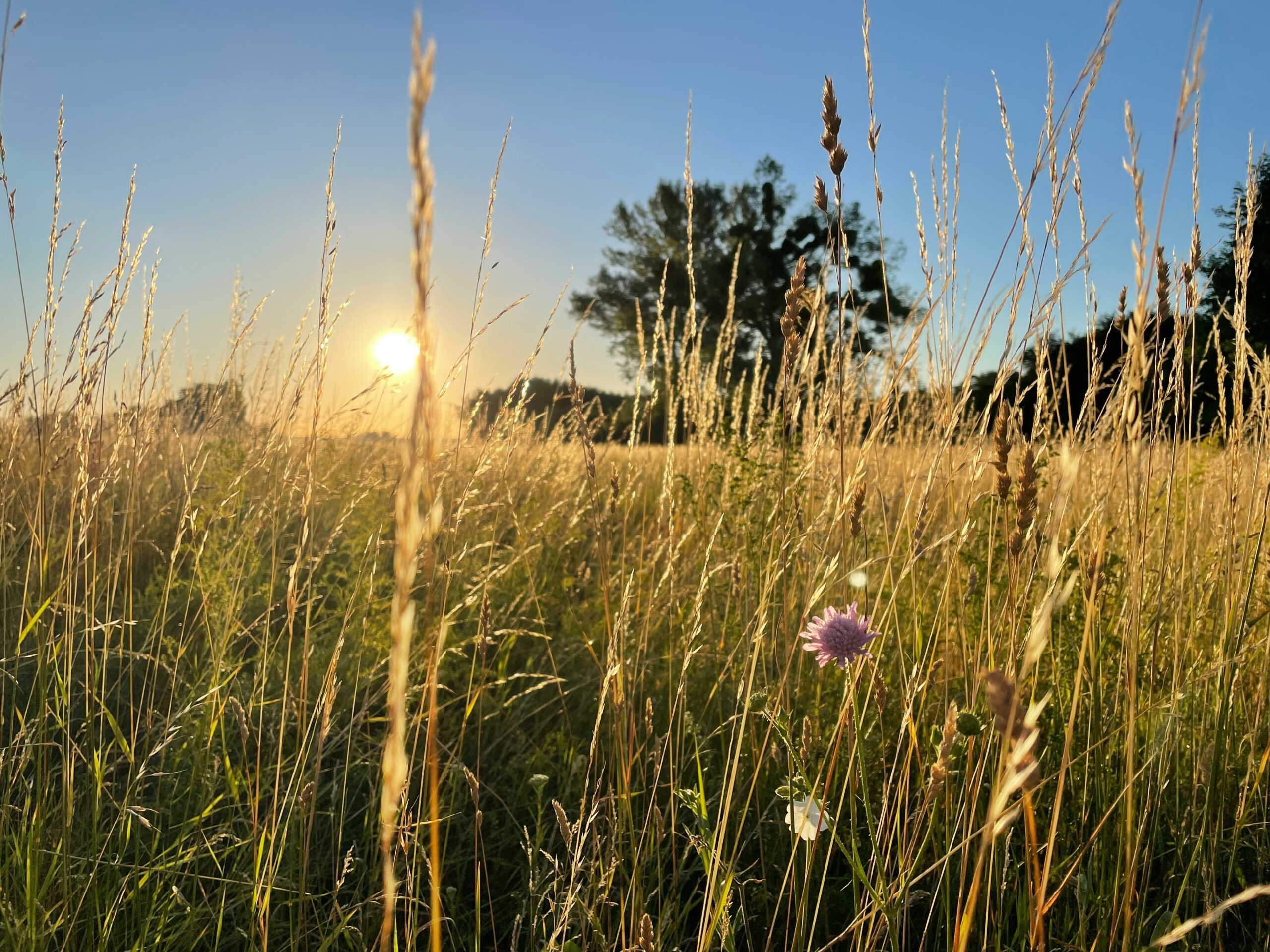 You Can’t Always Get What You Want – Grief Stories