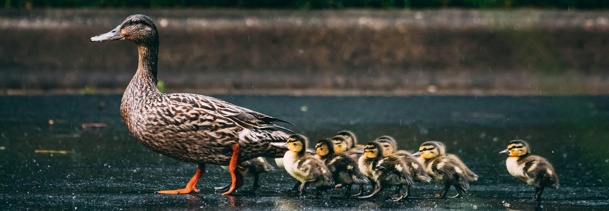 Children’s Grief and Loss Toolkit (ages 6-12) [FREE Downloadable PDF ...